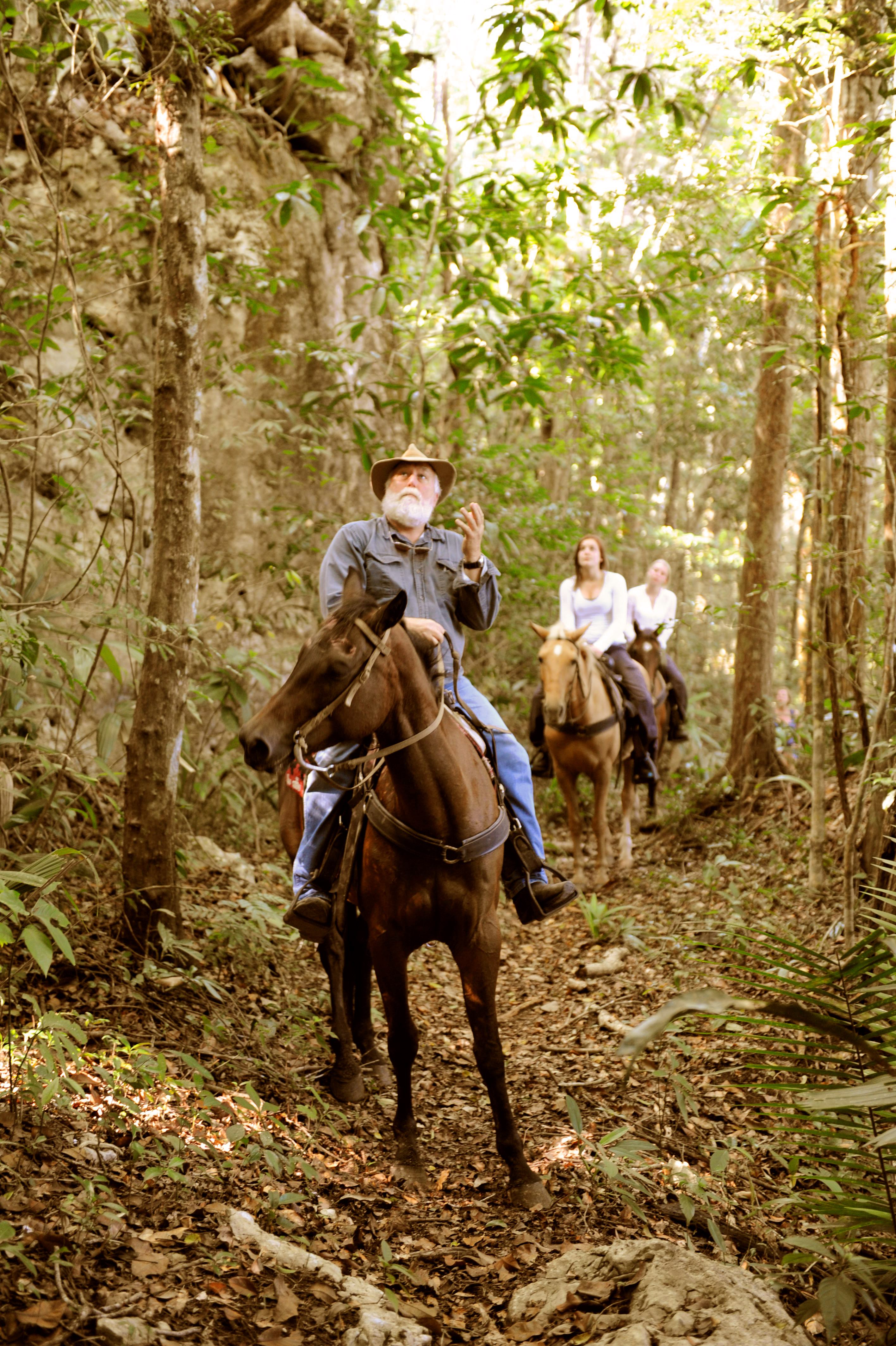 met_horseback_2.jpg